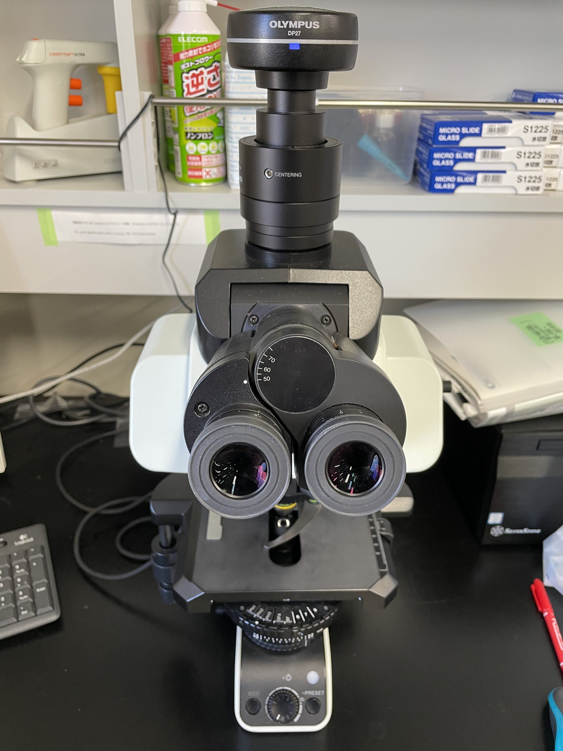 Laboratory of Plant Molecular Biology, Faculty of Agriculture, Tottori ...