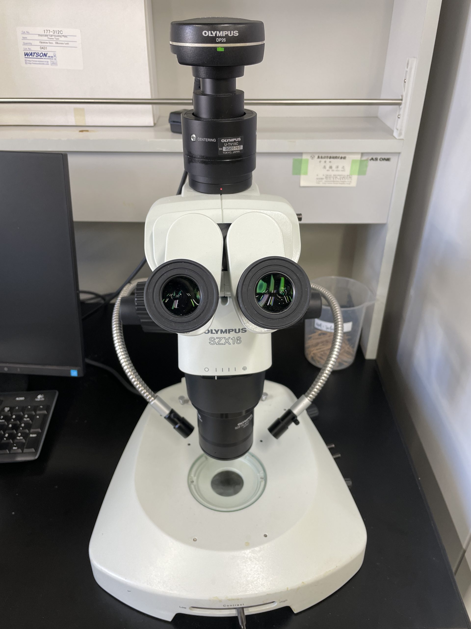 Laboratory of Plant Molecular Biology, Faculty of Agriculture, Tottori ...