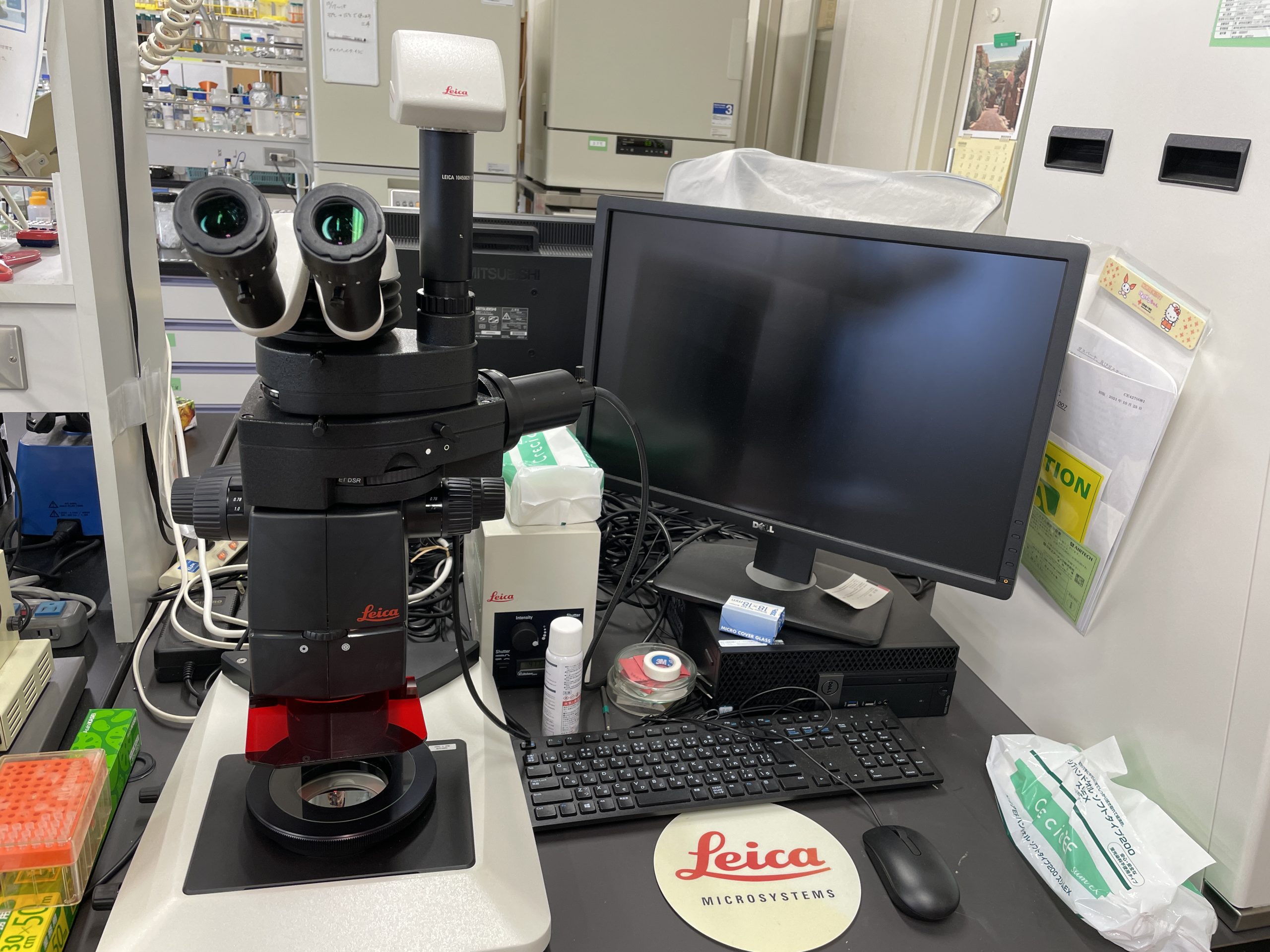 鳥取大学農学部 植物分子生物学分野